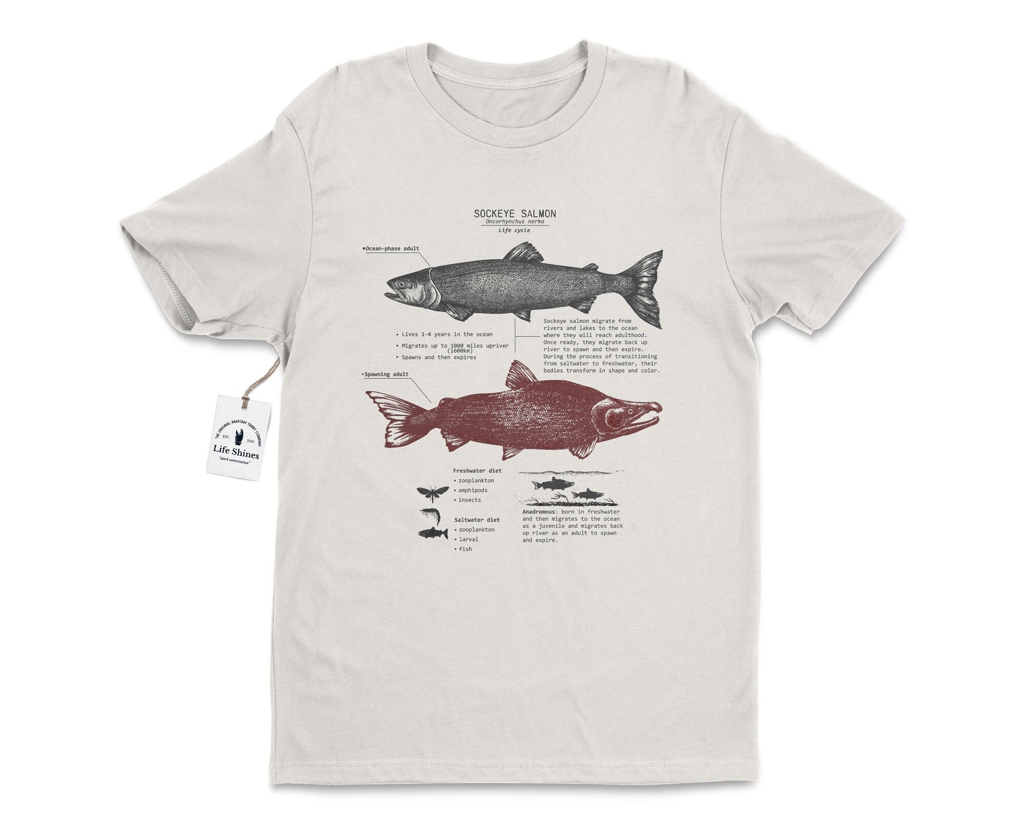 Salmon Life Cycle T Shirt Sockeye Salmon Shirt Alaskan T - Etsy