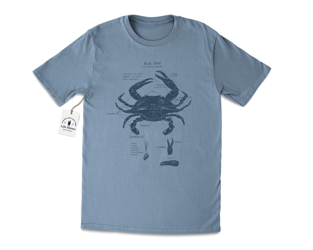Blue Crab Anatomy T Shirt Chesapeake Bay Shirt Crab Fishing - Etsy