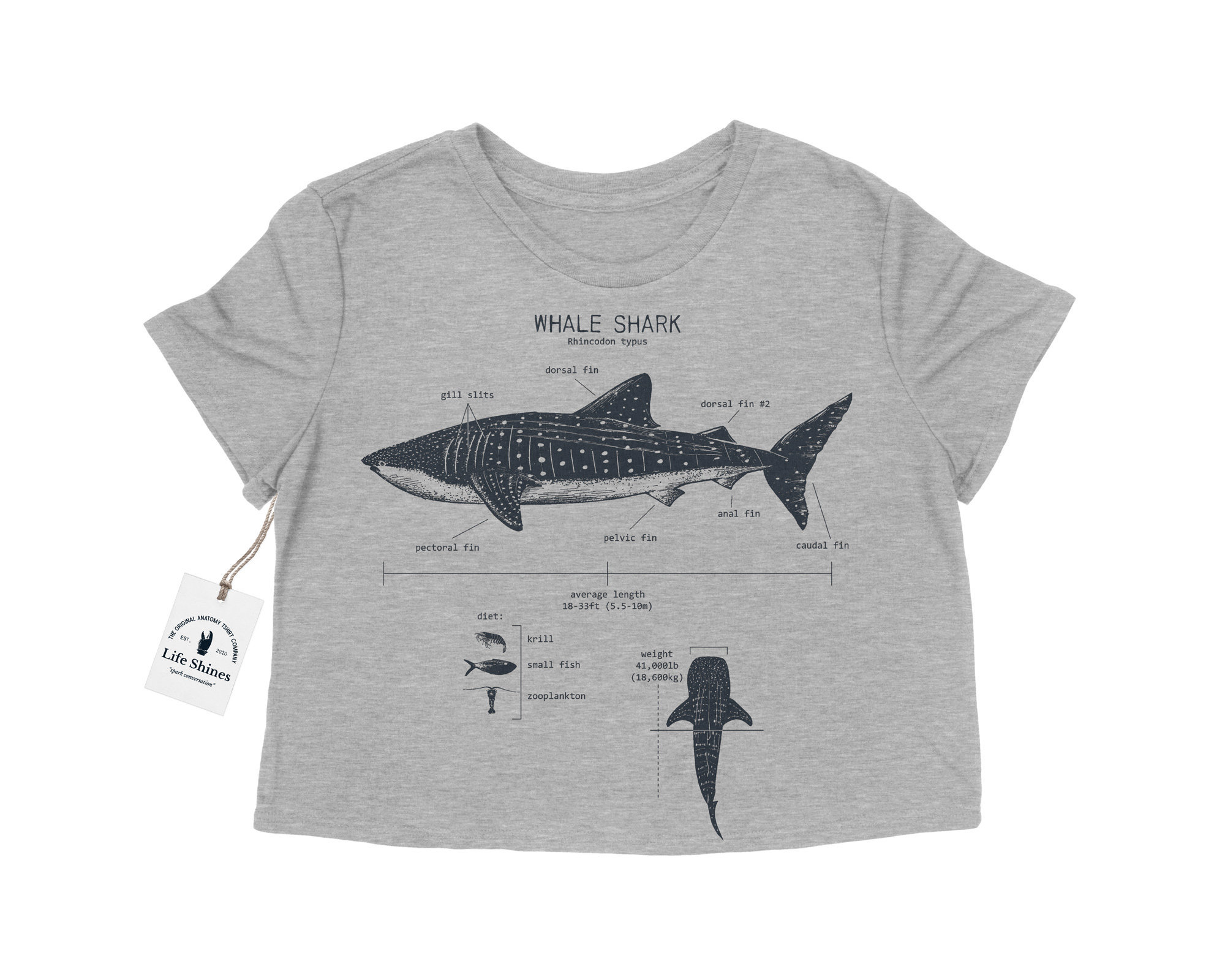 Whale Shark Anatomy Crop Top Ladies Shark Shirt Shark Crop - Etsy