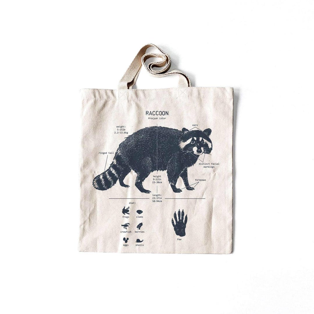 Raccoon Anatomy Tote Bag - Hand Drawn Raccoon - Screen Printed Cotton ...