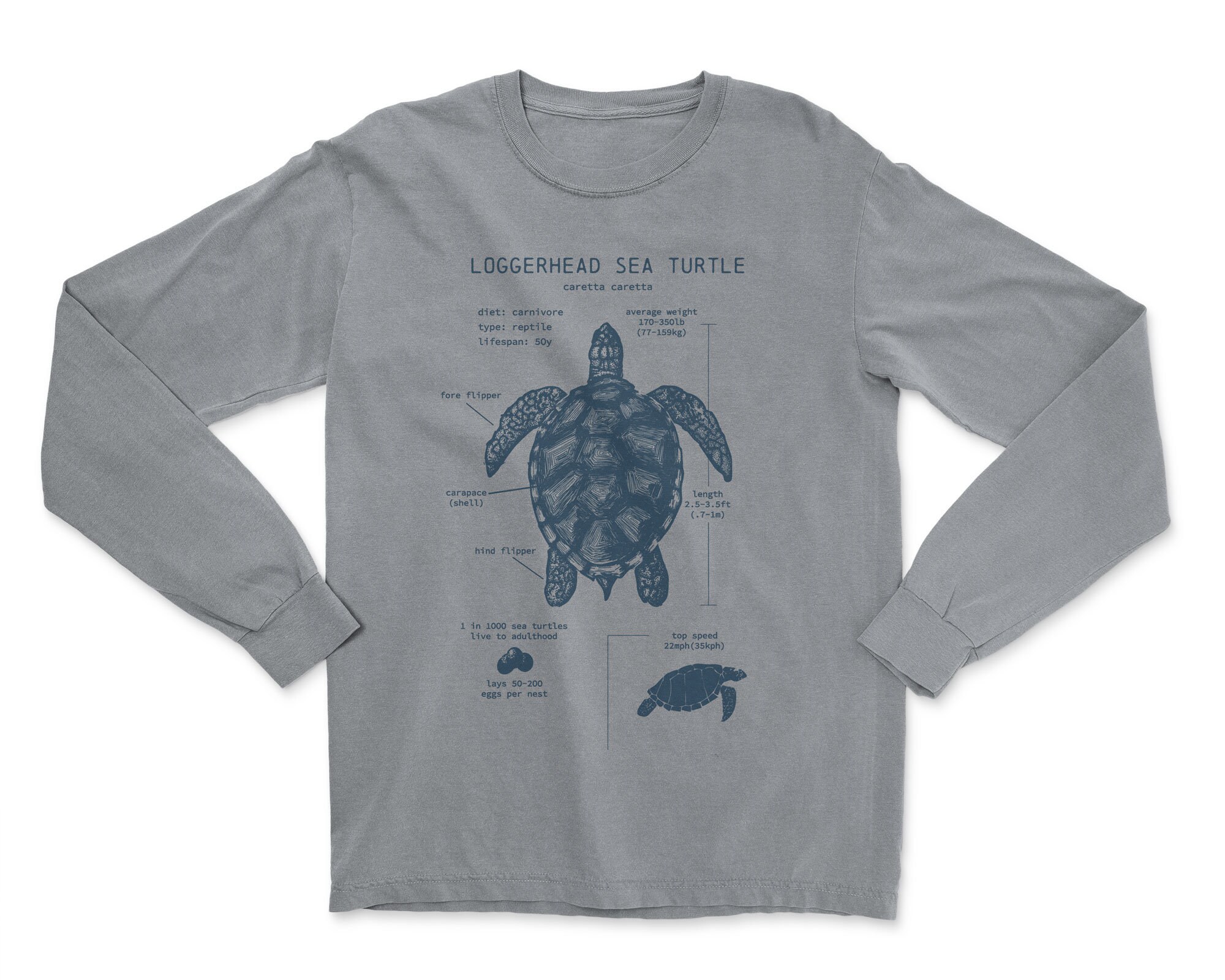 Sea Turtle Anatomy Long Sleeve Loggerhead Sea Turtle Shirt | Etsy