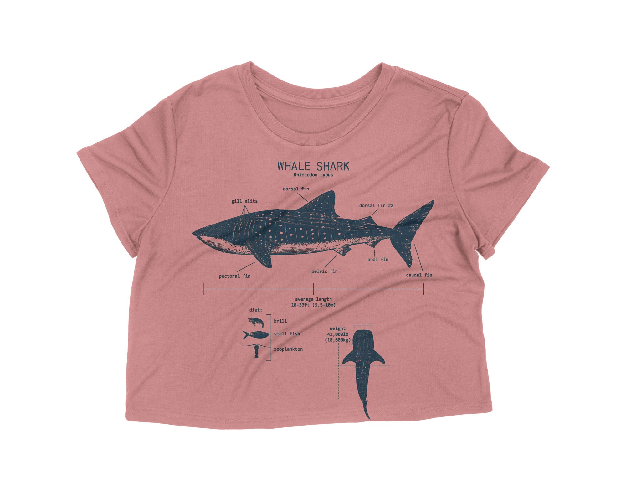 Whale Shark Anatomy Crop Top Ladies Shark Shirt Shark Crop - Etsy