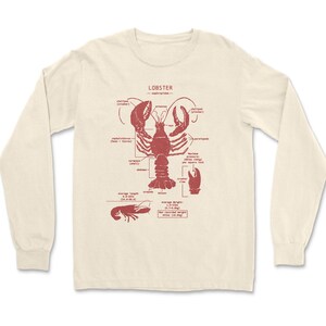 Lobster Anatomy Long Sleeve, Lobster Shirt, Marine Biology Shirt ...
