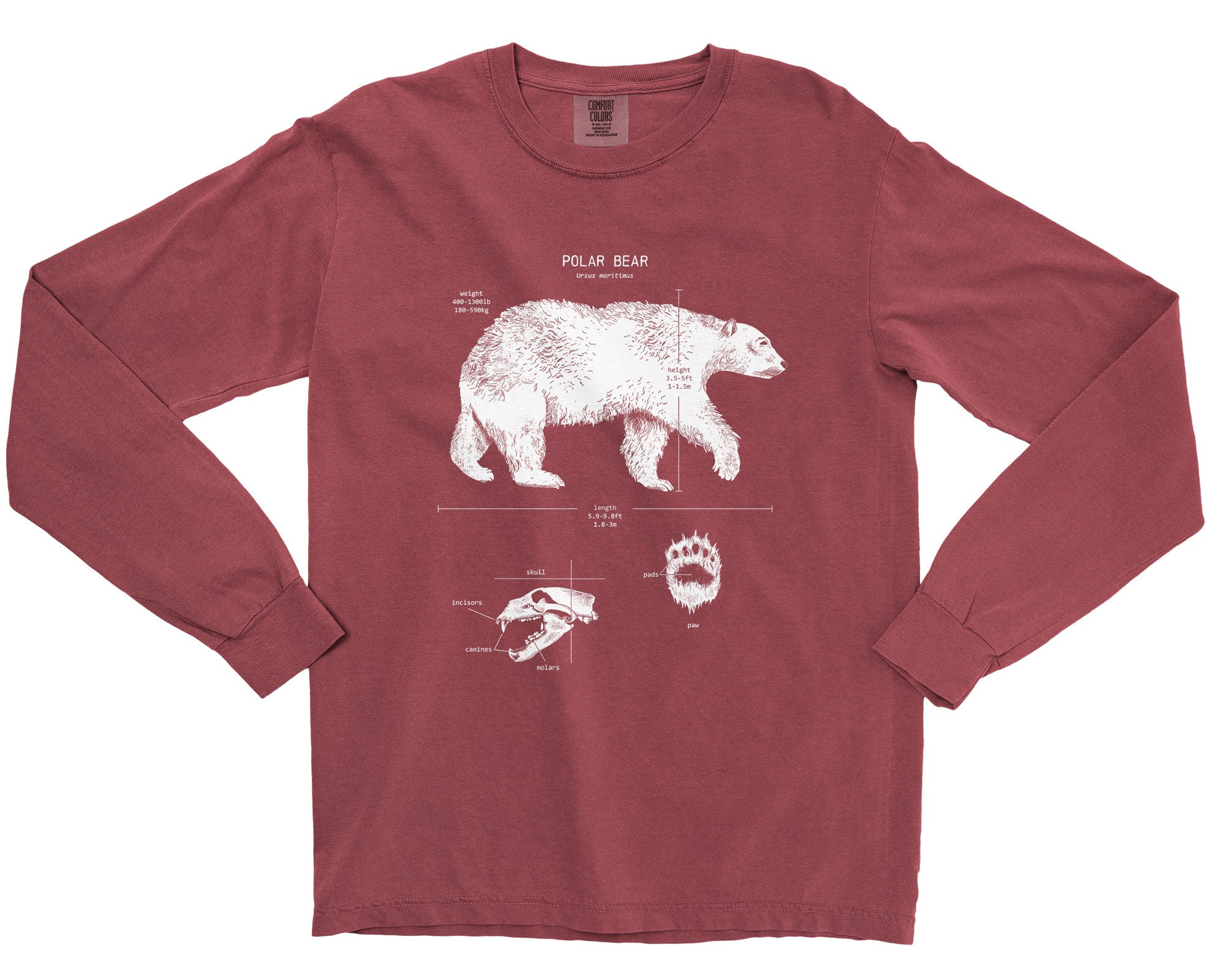 Polar Bear Anatomy Long Sleeve Bear Long Sleeve Marine | Etsy