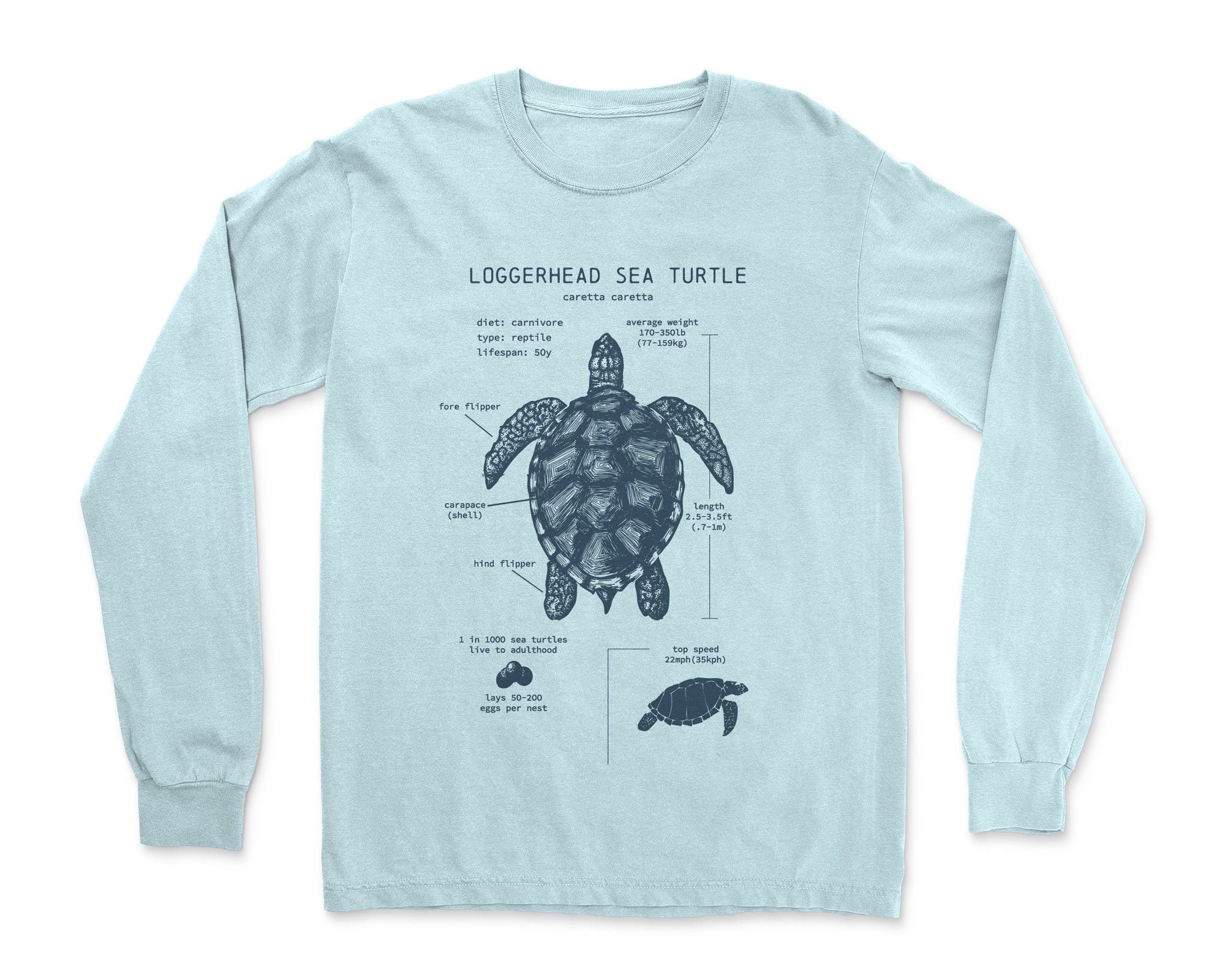 Sea Turtle Anatomy Long Sleeve Loggerhead Sea Turtle Shirt | Etsy