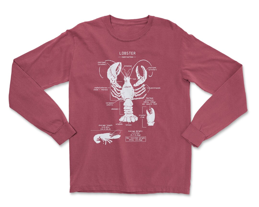 Lobster Anatomy Long Sleeve, Lobster Shirt, Marine Biology Shirt ...