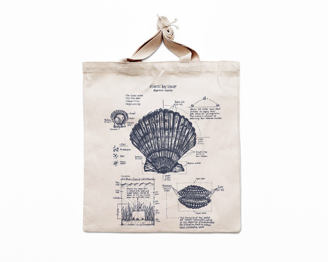 Atlantic Bay Scallop Anatomy Tote, Scallop Biology Bag, Screen Printed ...