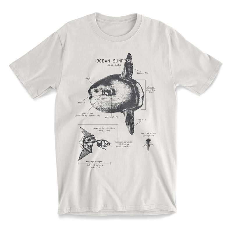 Ocean Sunfish Anatomy T-shirt: Mola Mola Science Shirt - Etsy