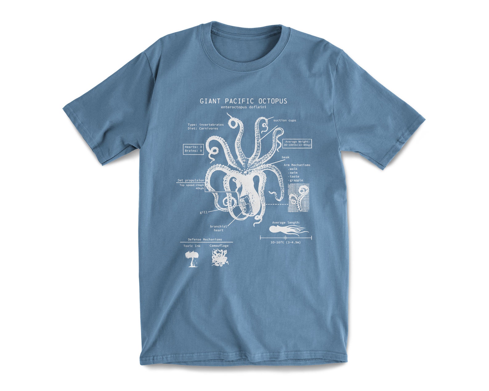Octopus Anatomy T-shirt Beach Tee Octopus Shirt Octopus - Etsy