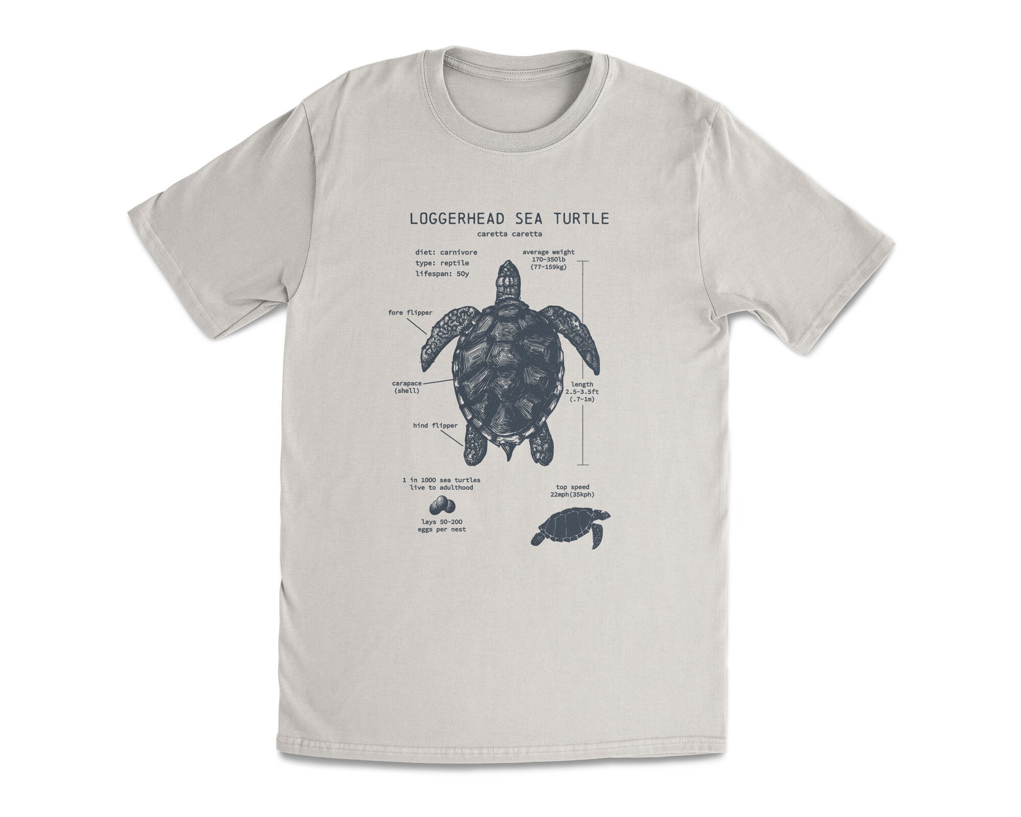 Loggerhead Sea Turtle Anatomy T Shirt Loggerhead T-shirt Sea - Etsy