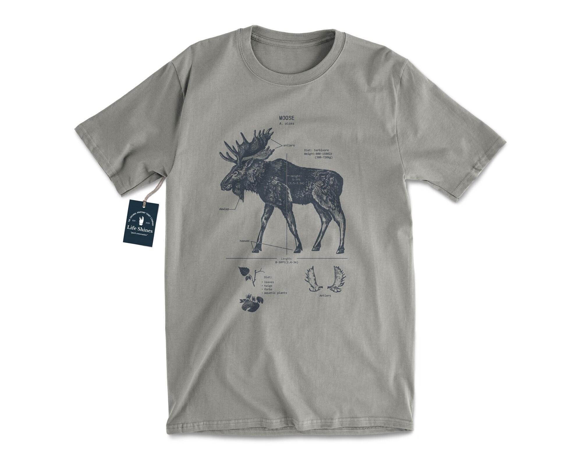 Moose Anatomy T Shirt Yellowstone Moose Shirt Moose Biology - Etsy