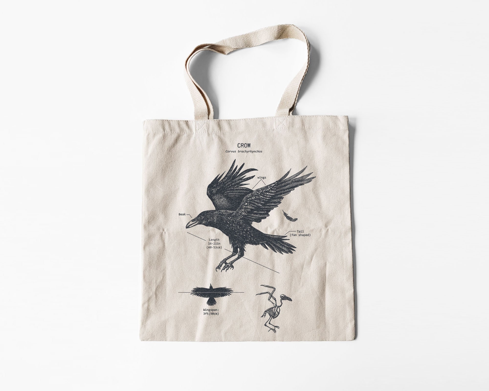 Crow Anatomy Tote Bag Crow Bag Screen Printed Tote Bag - Etsy