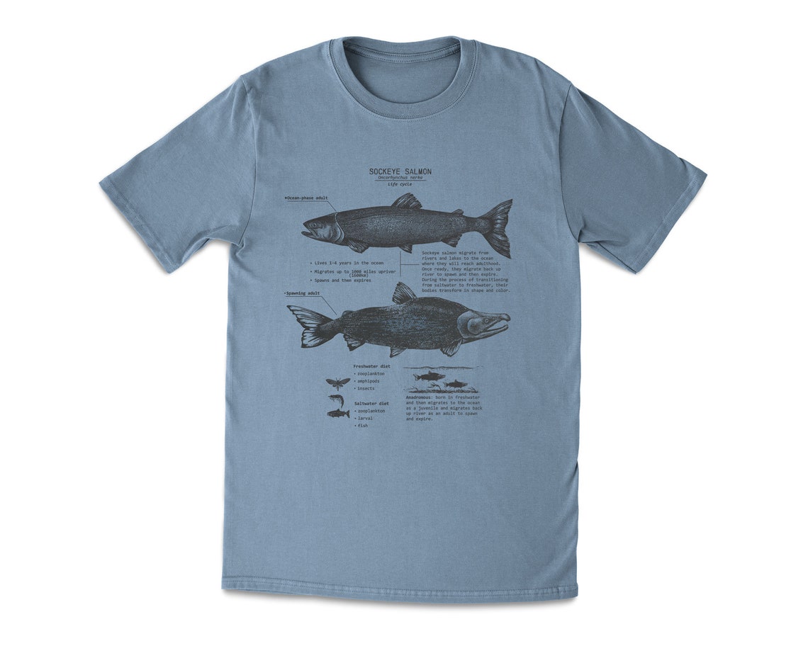 Salmon Life Cycle T Shirt Sockeye Salmon Shirt Alaskan T - Etsy