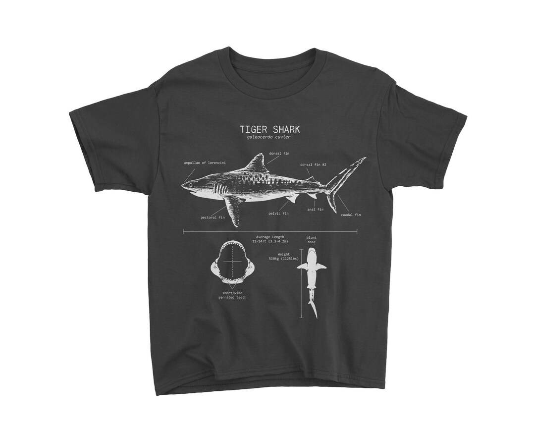 Youth Tiger Shark Anatomy T-shirt, Tiger Shark Shirt, Marine Biologist ...