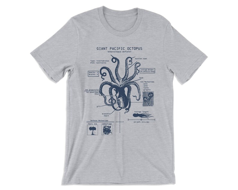 Octopus Anatomy T-shirt Beach Tee Octopus Shirt Science | Etsy