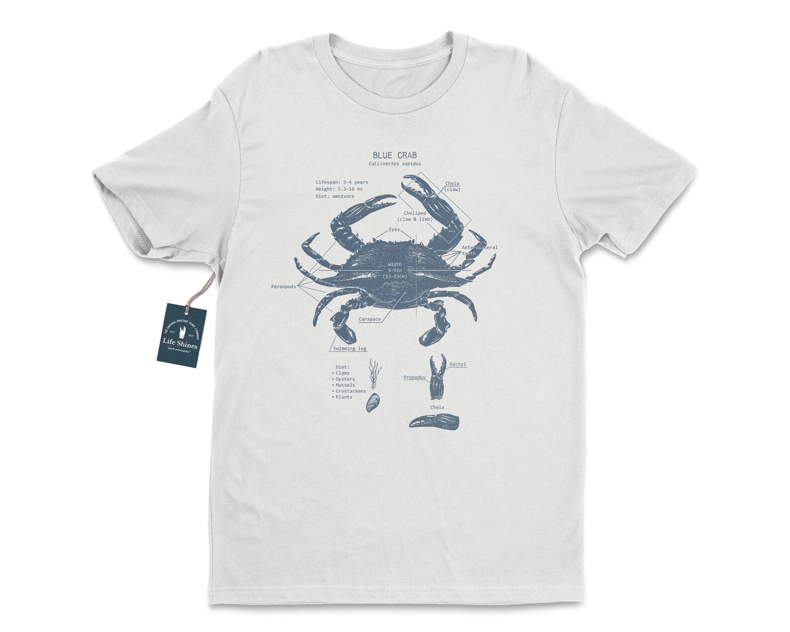 Blue Crab Anatomy T Shirt, Chesapeake Bay Shirt, Crab Fishing Shirt ...