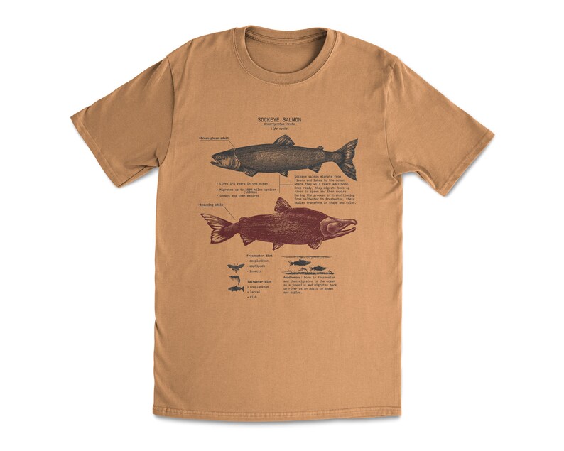 Salmon Life Cycle T Shirt Sockeye Salmon Shirt Alaskan T - Etsy