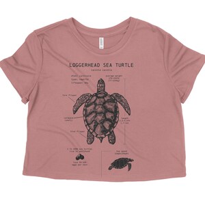 Sea Turtle Anatomy Crop Top, Loggerhead Crop Top, Marine Biology, Sea ...