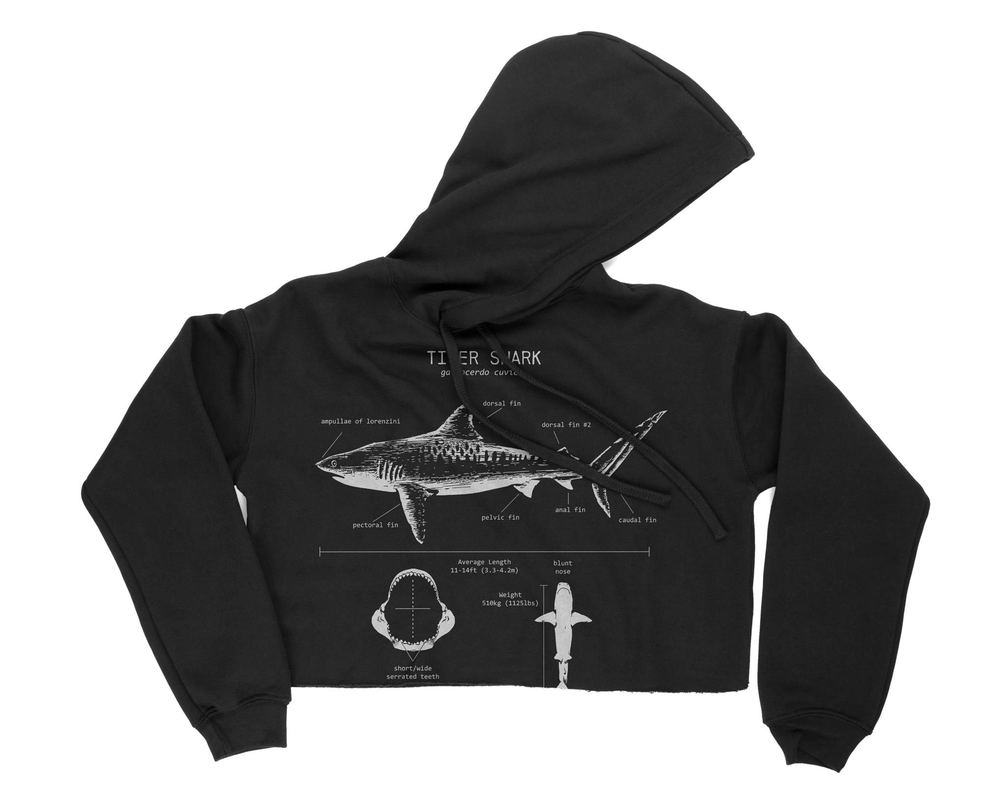 Tiger Shark Anatomy Cropped Hoodie Tiger Shark Gifts Shark | Etsy