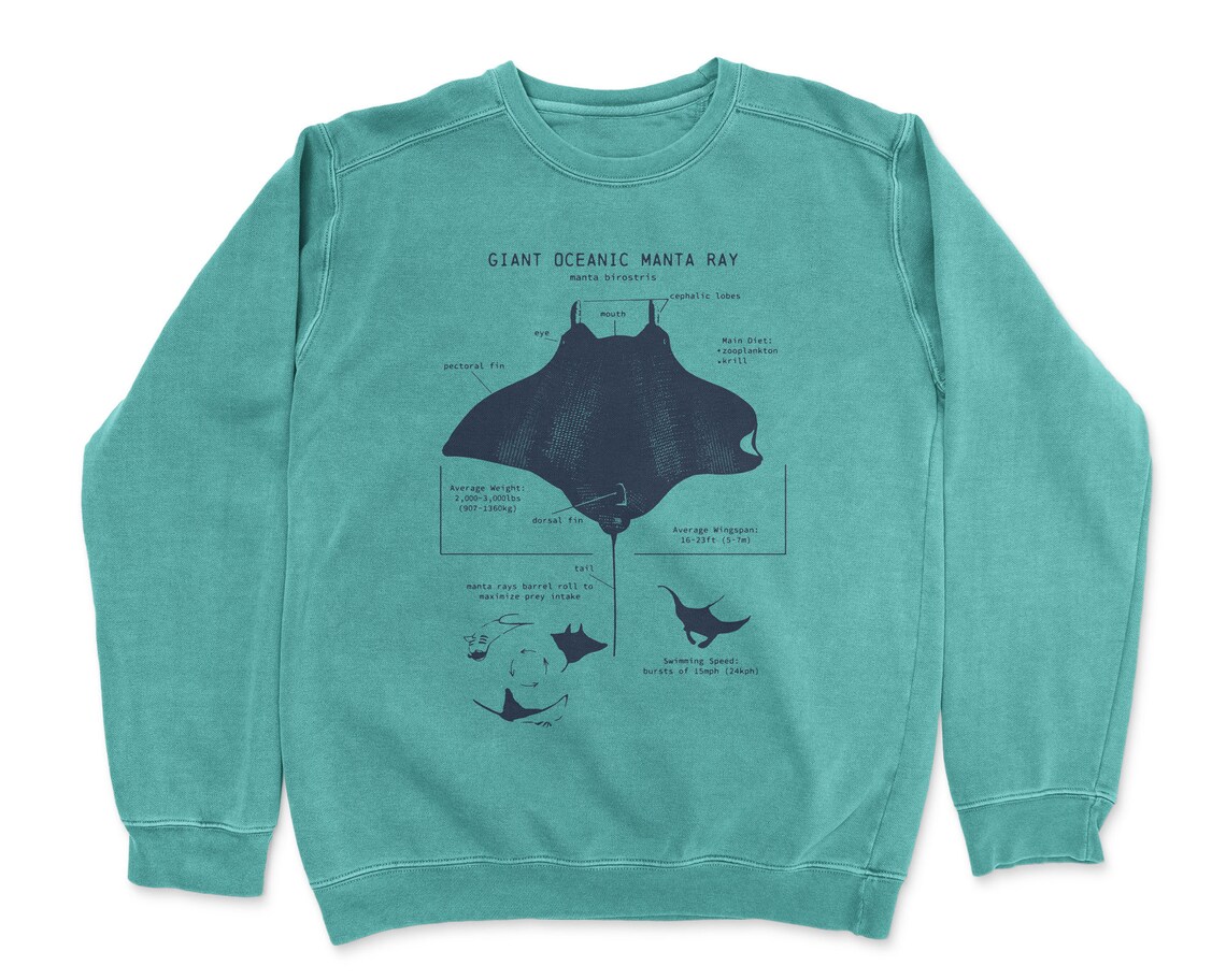 Manta Ray Anatomy Sweatshirt Manta Ray Sweater Marine | Etsy