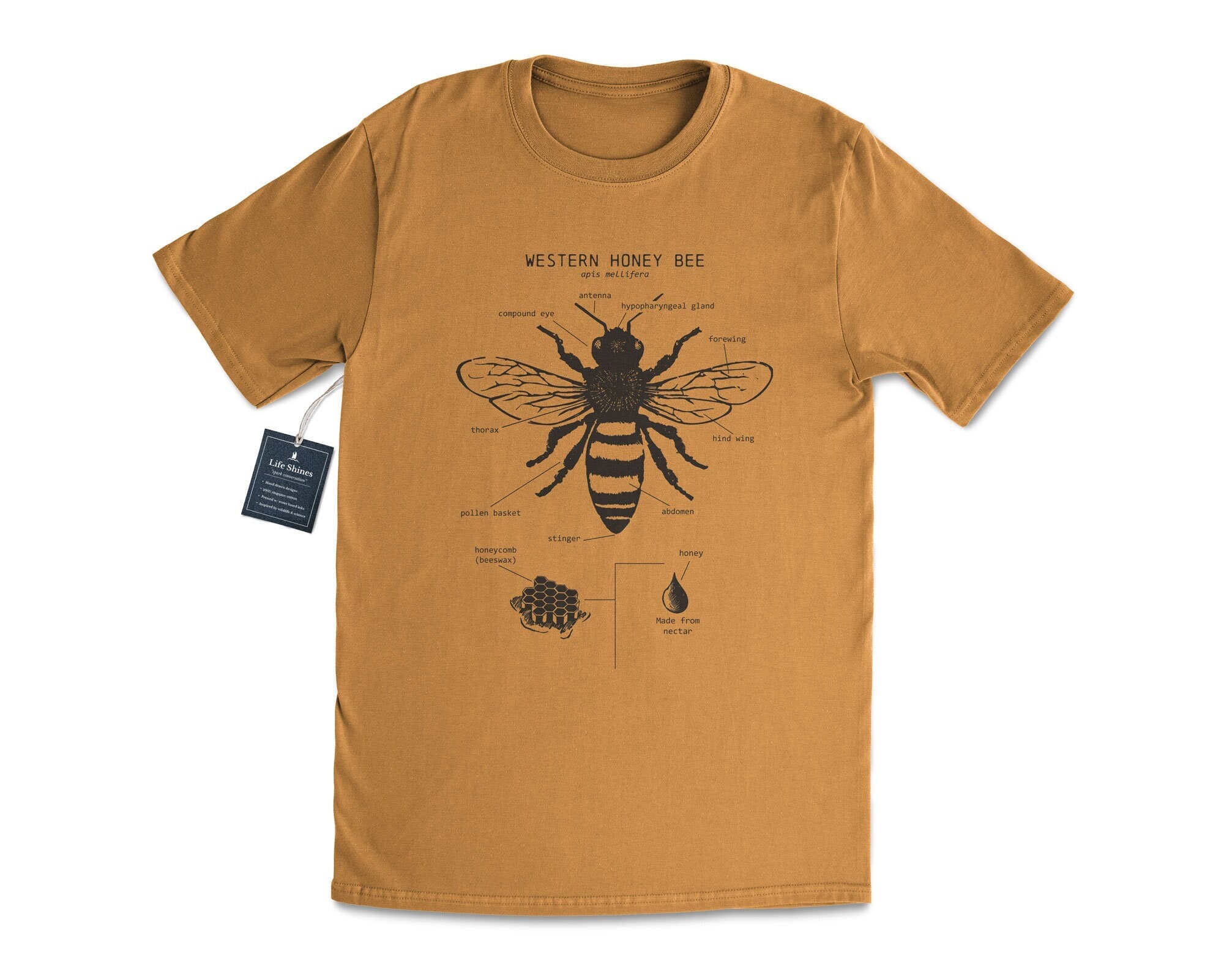 Honey Bee Anatomy T Shirt Western Honey Bee T Shirt Bee Keeper Shirt Original Bee Artwork Honey Bee Biology Honey Bee Animal Anatomy Etsy