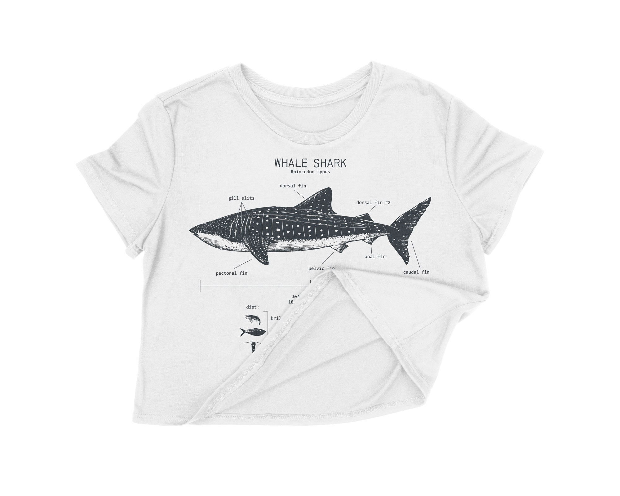 Whale Shark Anatomy Crop Top Ladies Shark Shirt Shark Crop | Etsy