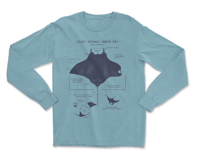 Manta Ray Anatomy Long Sleeve Manta Ray Shirt Marine Biology - Etsy