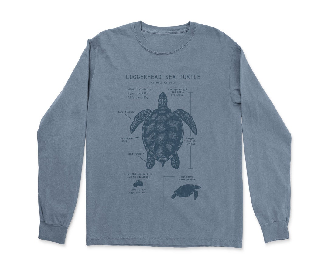 Sea Turtle Anatomy Long Sleeve, Loggerhead Sea Turtle Shirt, Marine ...