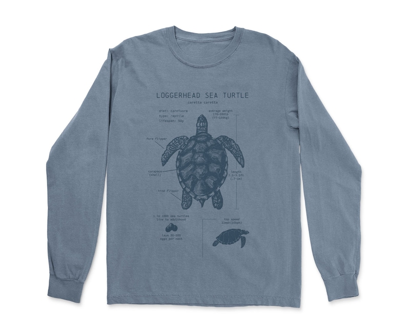 Sea Turtle Anatomy Long Sleeve Loggerhead Sea Turtle Shirt | Etsy