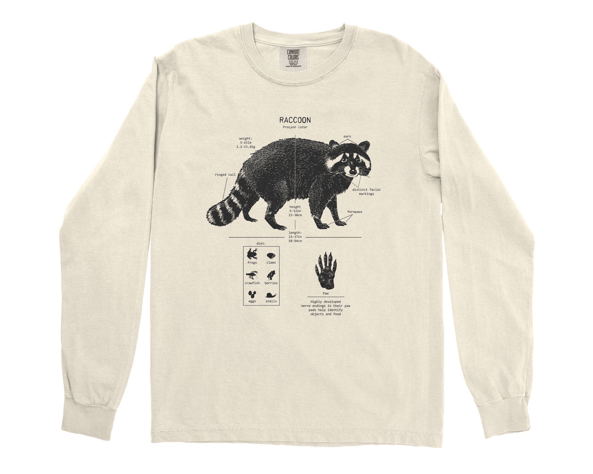 Raccoon Anatomy Long Sleeve Biology Shirt Raccoon Gifts - Etsy