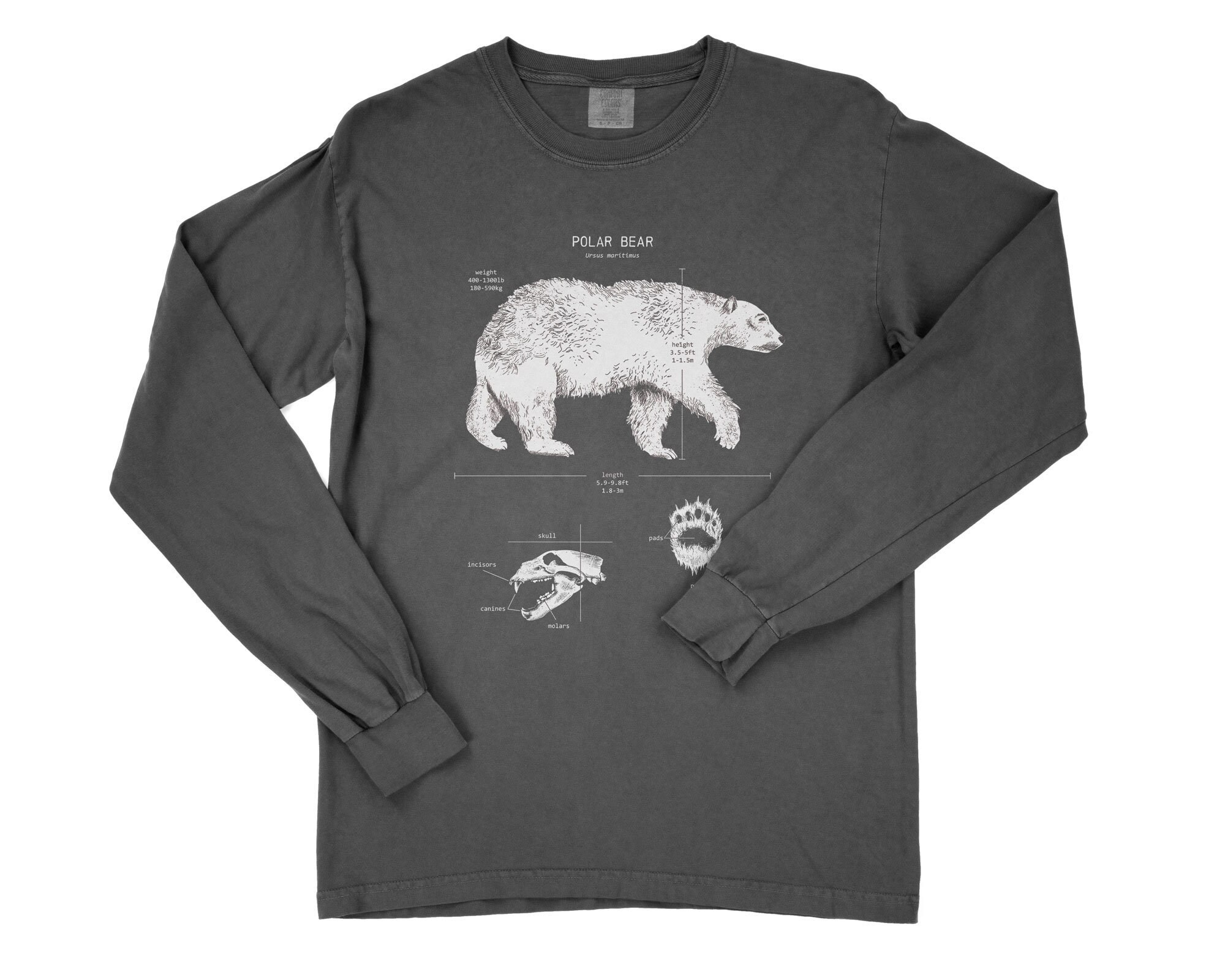 Polar Bear Anatomy Long Sleeve Bear Long Sleeve Marine | Etsy