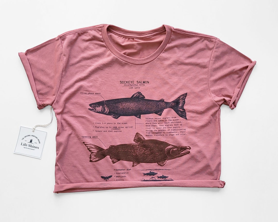LIMITED EDITION Salmon Life Cycle Crop Top, Sockeye Salmon Shirt ...
