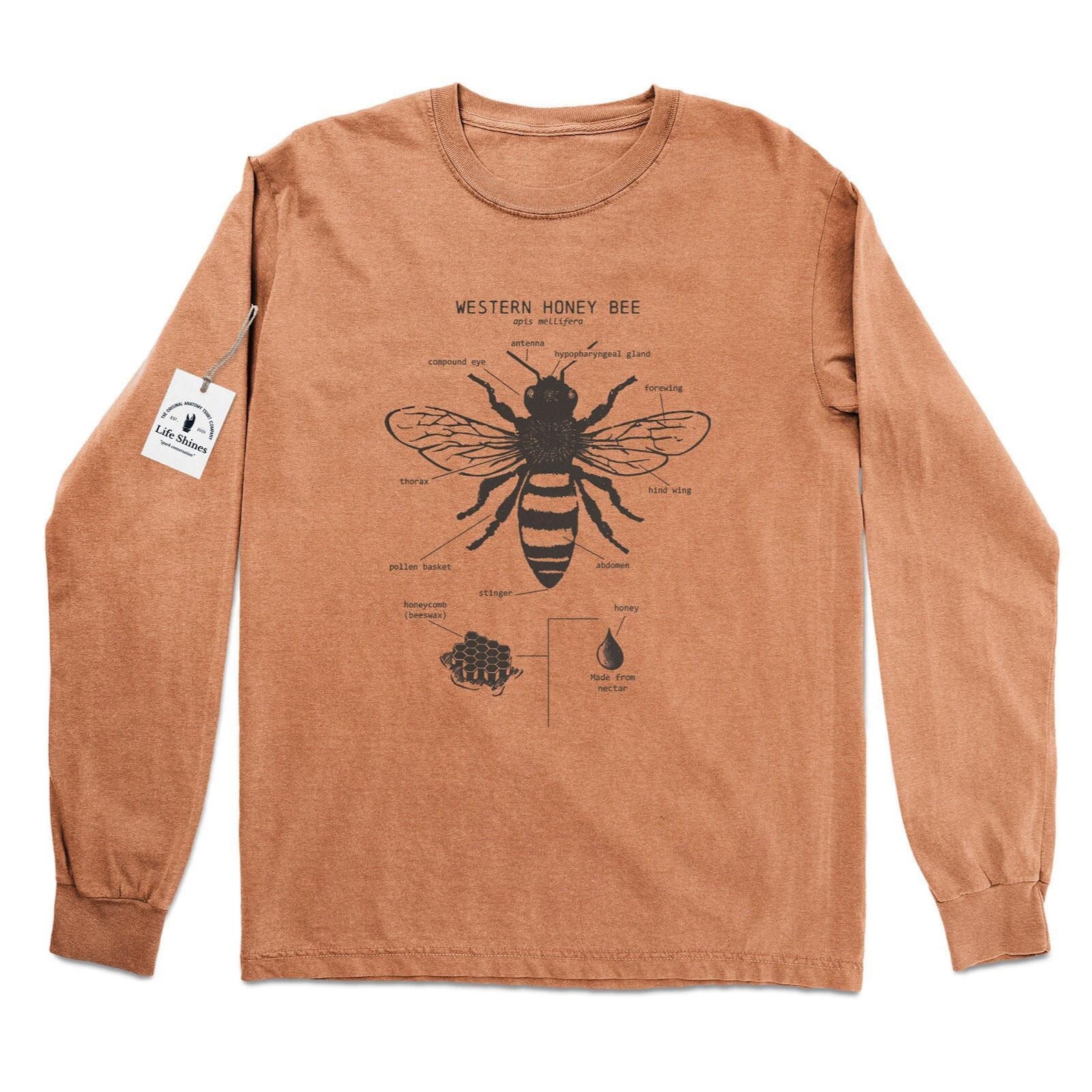 Honey Bee Anatomy Long Sleeve, Honey Bee Long Sleeve Shirt, Western ...
