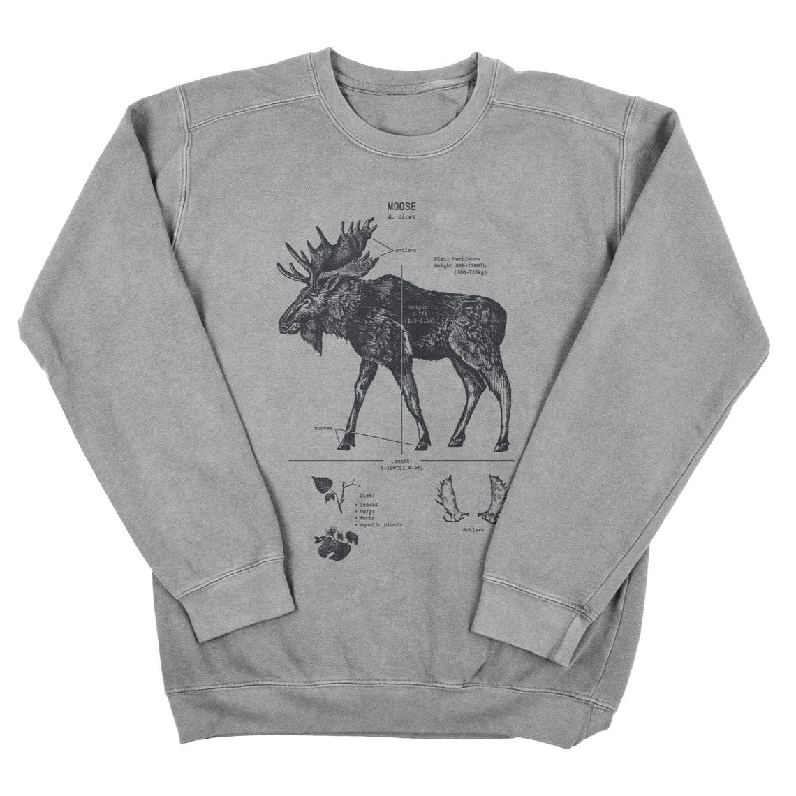 Moose Anatomy Sweatshirt, Moose Crewneck Sweatshirt, Wildlife ...