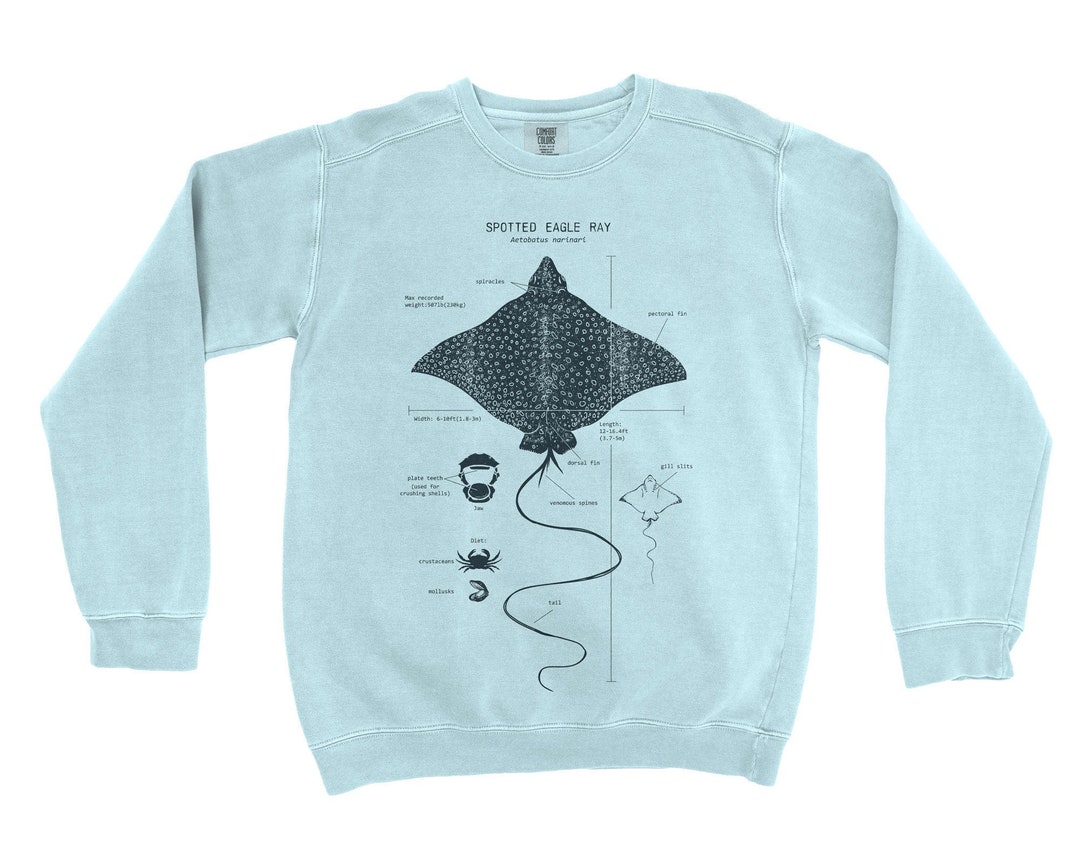 Spotted Eagle Ray Anatomy Sweatshirt, Marine Biology Sweatshirt, Beach ...