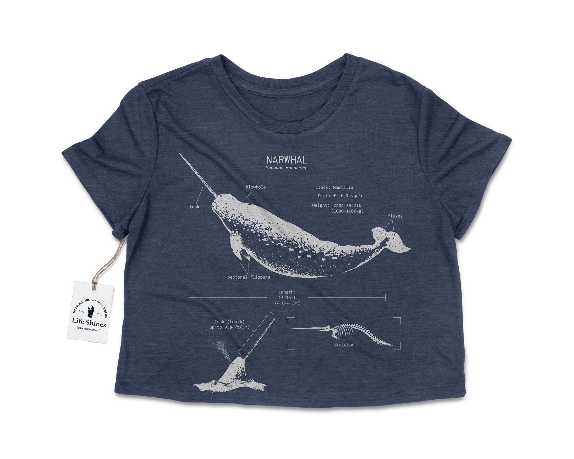 Narwhal Anatomy Crop Top Whale Crop Top Narwhal Gifts for - Etsy