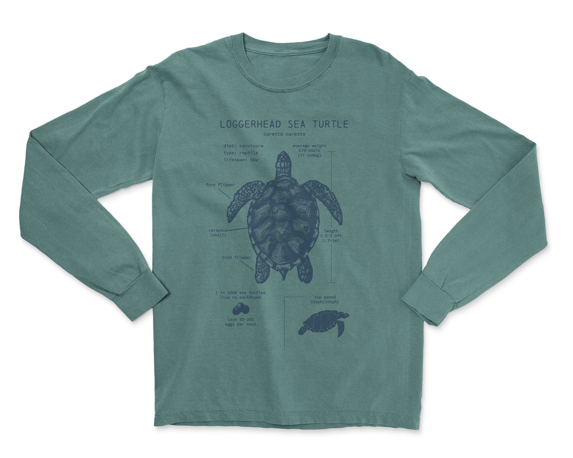 Sea Turtle Anatomy Long Sleeve Loggerhead Sea Turtle Shirt | Etsy