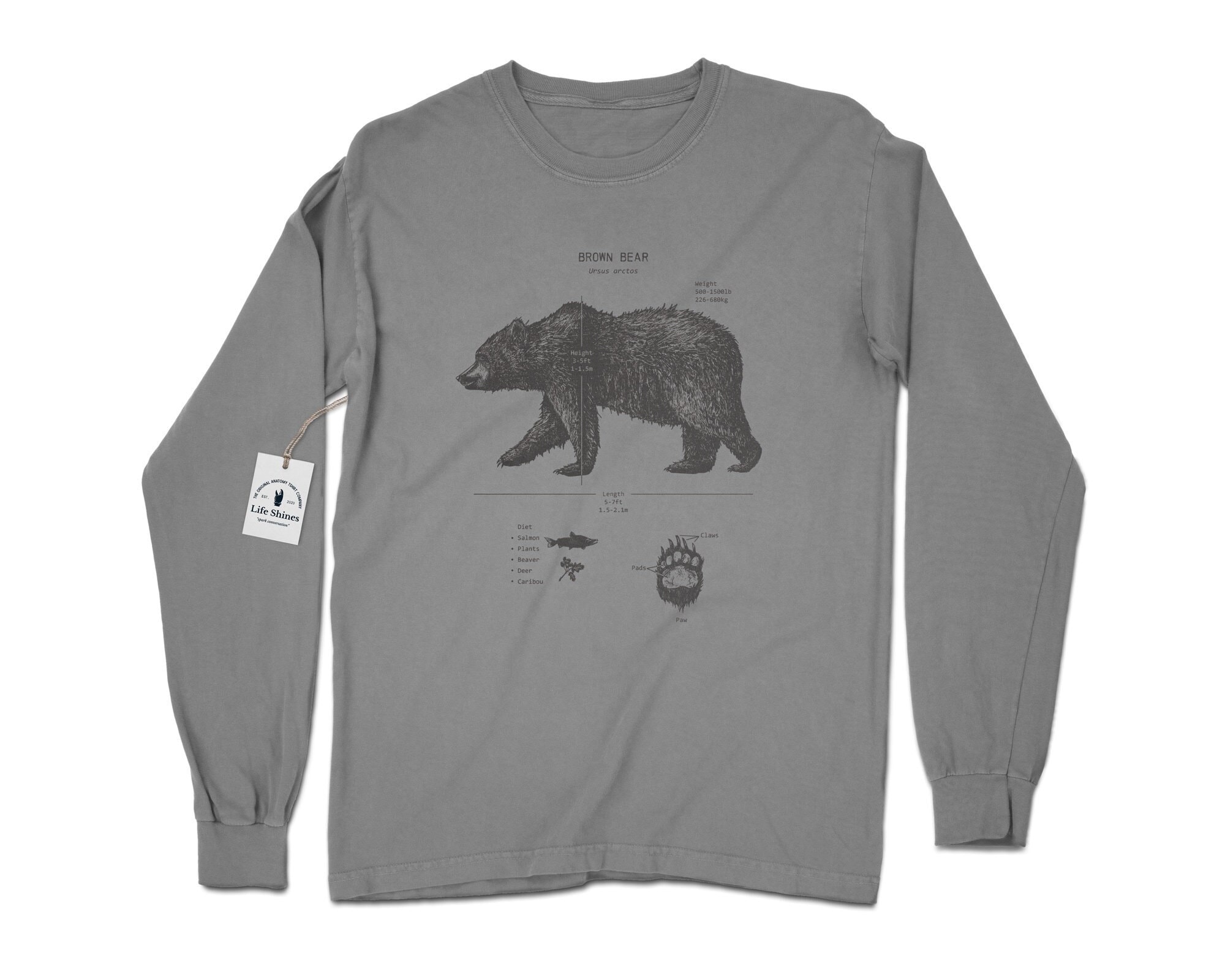 Brown Bear Anatomy Long Sleeve Grizzly Bear Long Sleeve - Etsy