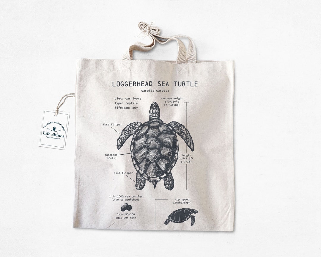 Sea Turtle Anatomy Tote Bag, Loggerhead Sea Turtle Tote Bag, Natural ...