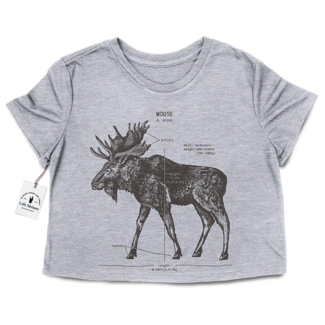 Moose Anatomy Crop Top, North American Moose Crop Top, Moose Biology ...