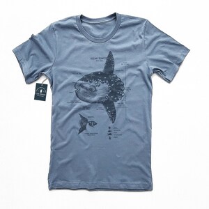 Mola Mola Anatomy Tshirt, Sunfish Tshirt, Marine Biology Shirt, Mola ...