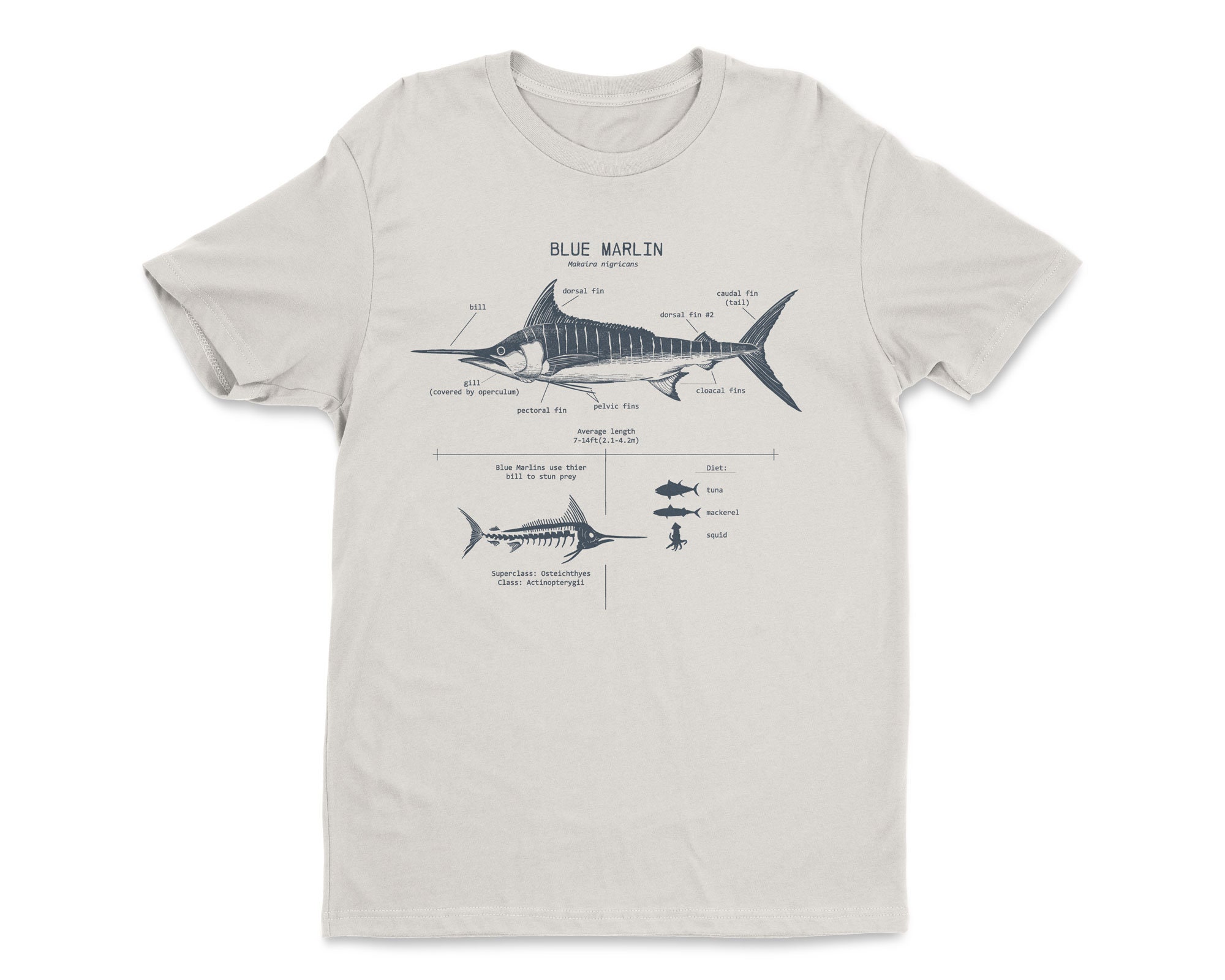 Blue Marlin Anatomy T Shirt Blue Marlin T Shirt Marine - Etsy