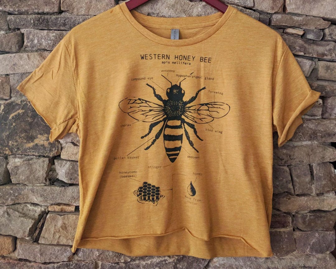 Limited Edition Bee Anatomy Crop Top: Hand Screen Printed Bee Shirt - Etsy