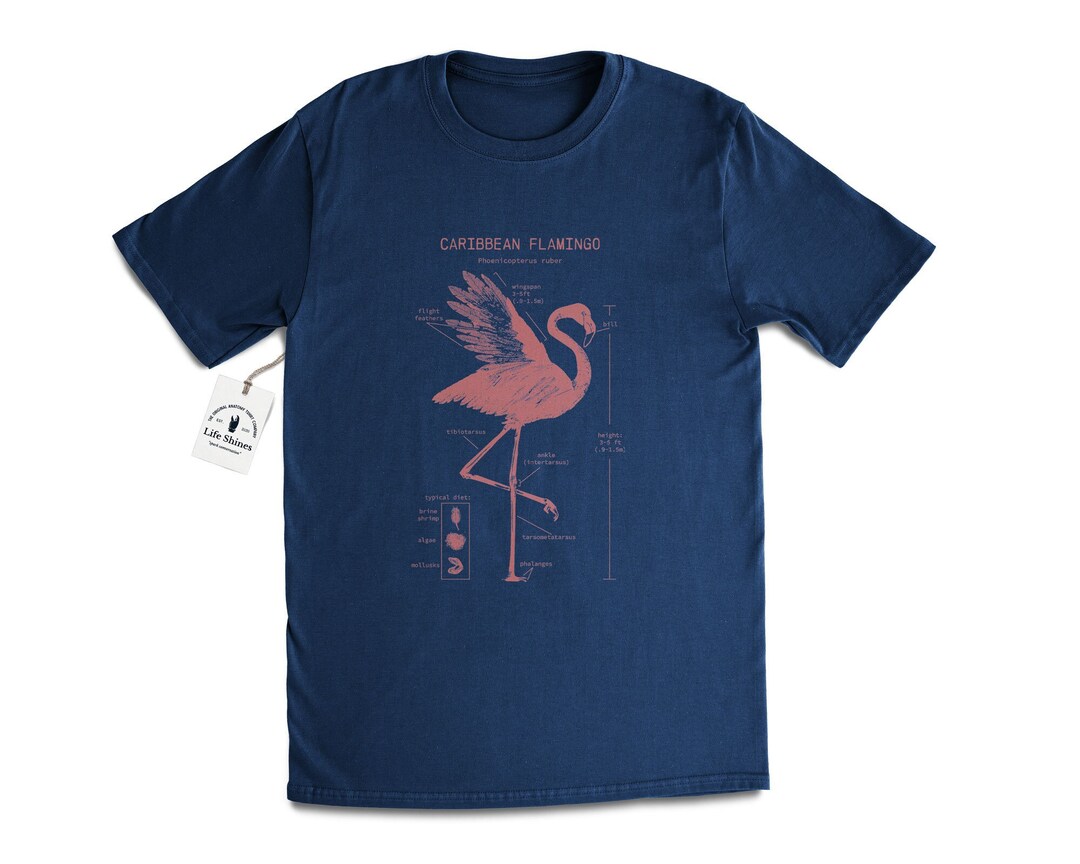 Flamingo Anatomy T Shirt, Caribbean Flamingo Shirt, Flamingo Biology ...