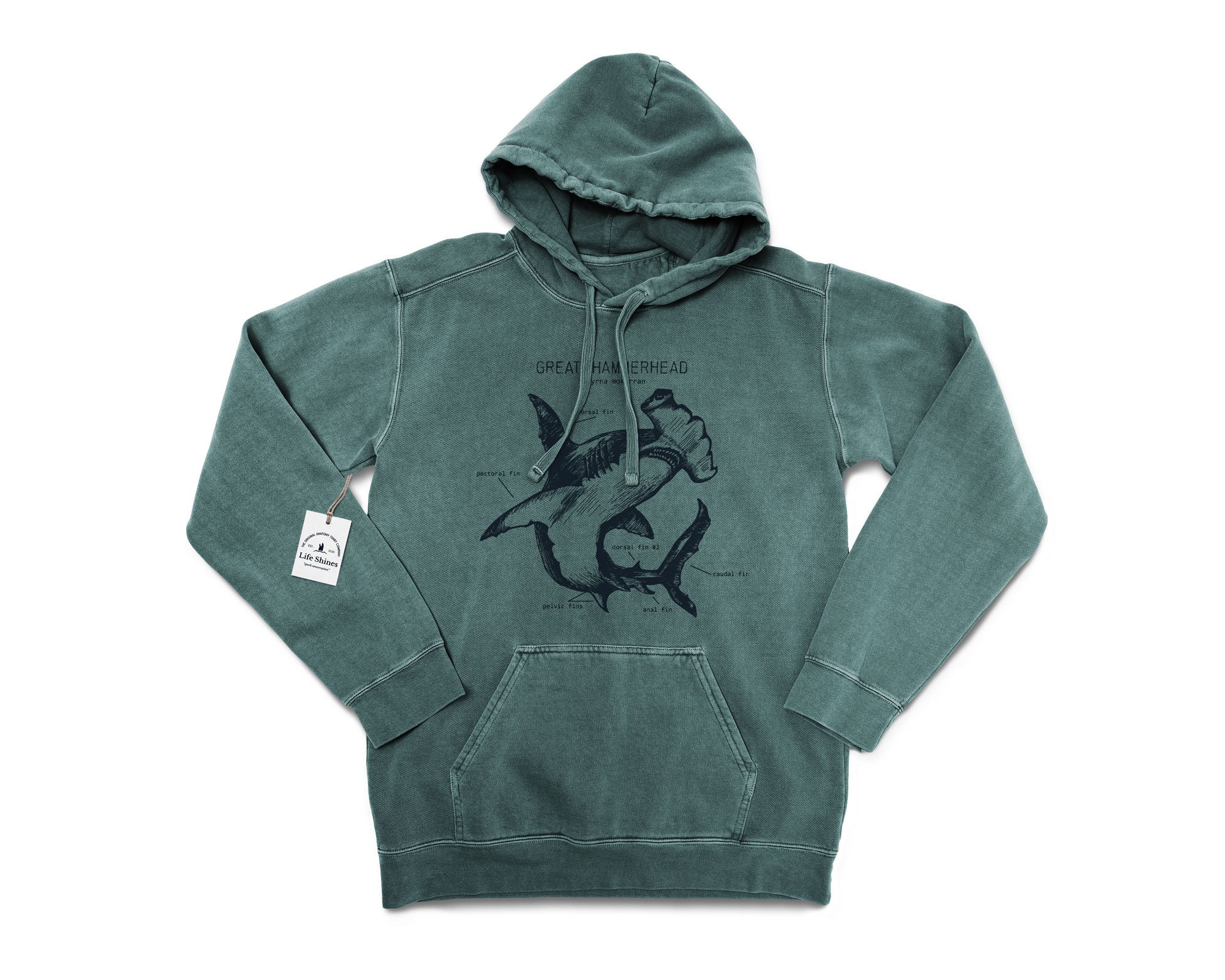 Hammerhead Anatomy Hoodie Hammerhead Shark Hoodie Hammerhead - Etsy