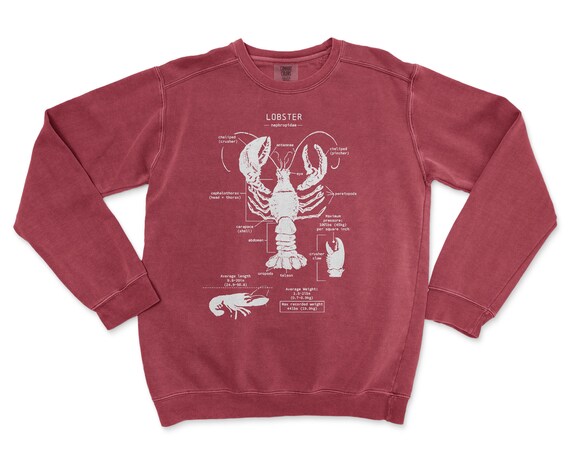 Lobster Anatomy Sweatshirt Lobster Sweatshirt Nautical - Etsy
