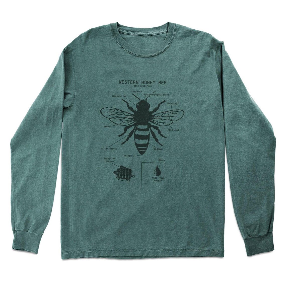 Honey Bee Anatomy Long Sleeve, Honey Bee Long Sleeve Shirt, Western ...
