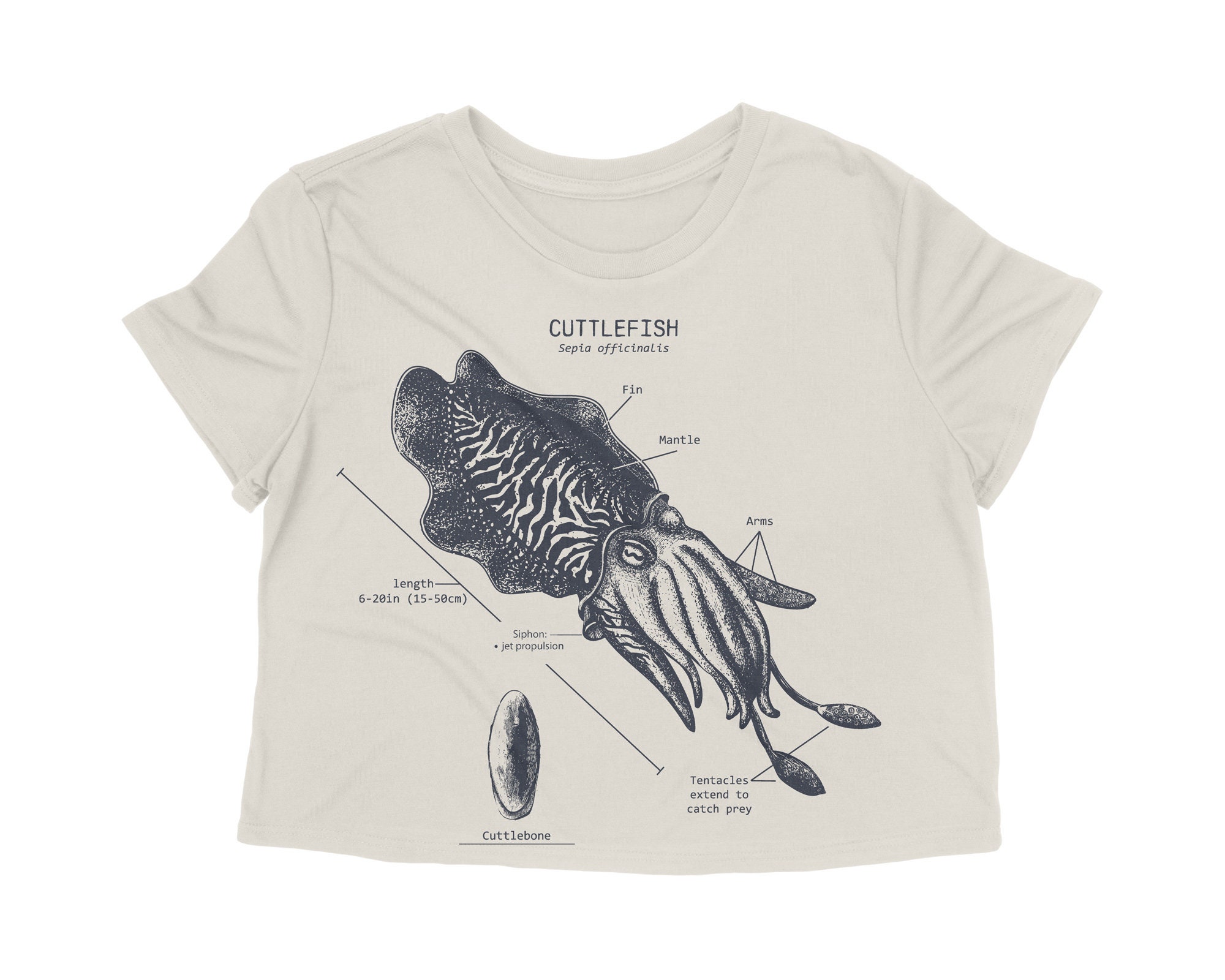 Cuttlefish Anatomy Crop Top Cuttlefish Gifts for Her | Etsy