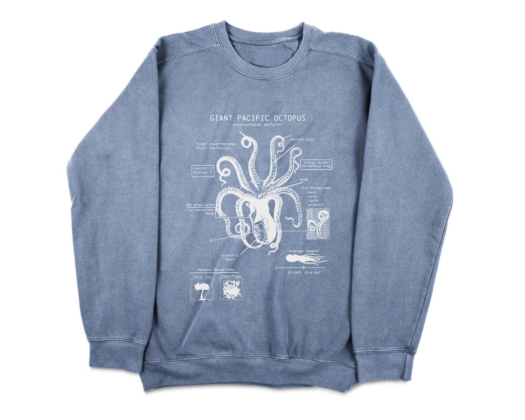 Pacific Octopus Anatomy Sweatshirt, Marine Biologist, Octopus ...