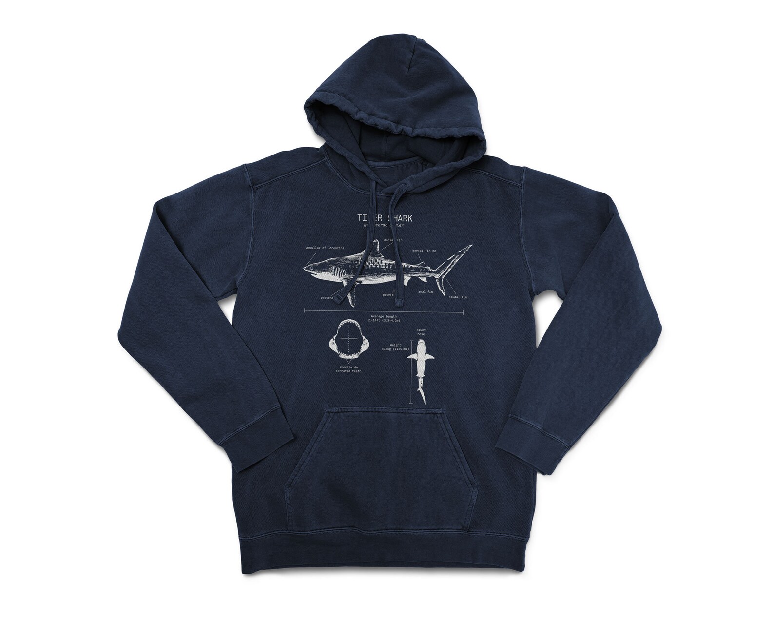 Tiger Shark Anatomy Hoodie Tiger Shark Sweatshirt Shark - Etsy